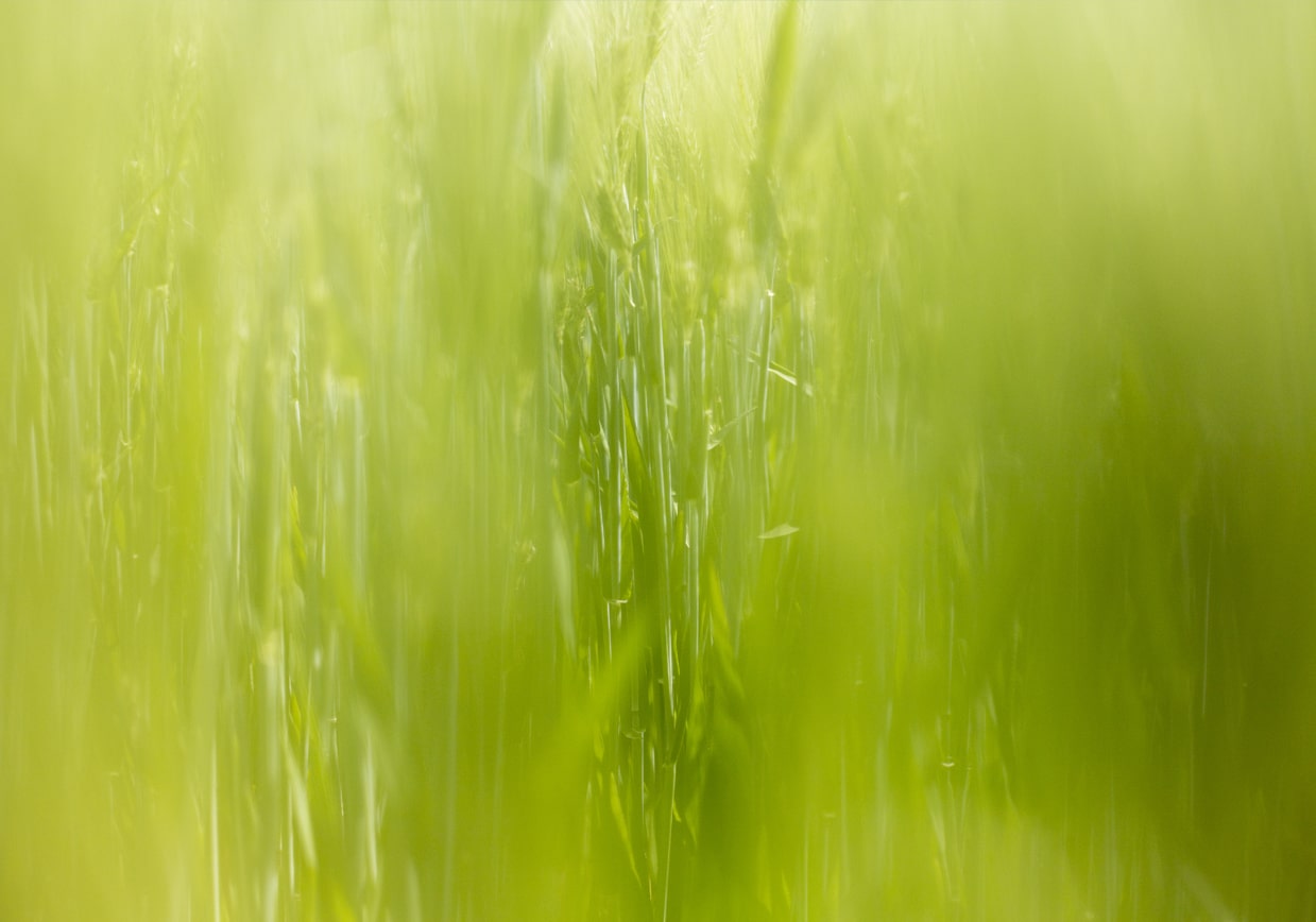 calefacción refrigeración y ventilación eficientes Jaga Climate Designers